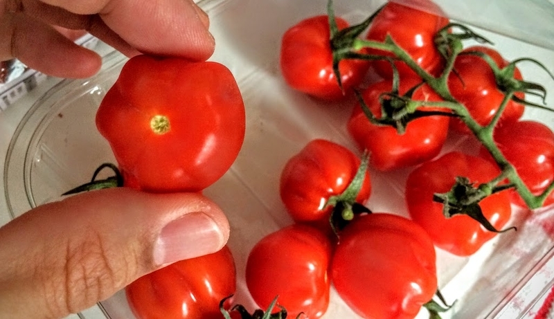 【一番美味しいトマト？】ASDAでTOMKIN TOMATOを買ってみた - ハタを立てろよ！